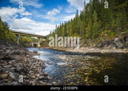 Old and new bridge on Glåma river. Scandinavian mountain forest around ...