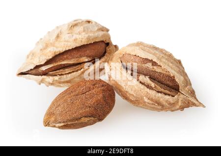 Isolated almonds. Three almond nuts isolated on white background with ...