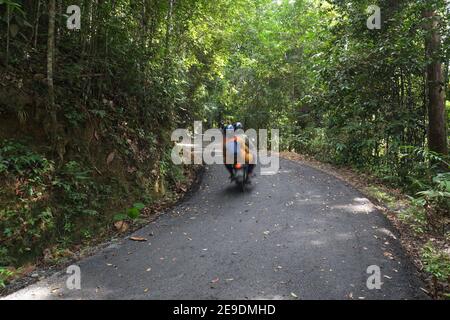 Mount Matang forest path to Sri Maha Mariamman Temple, Hindu Temple ...