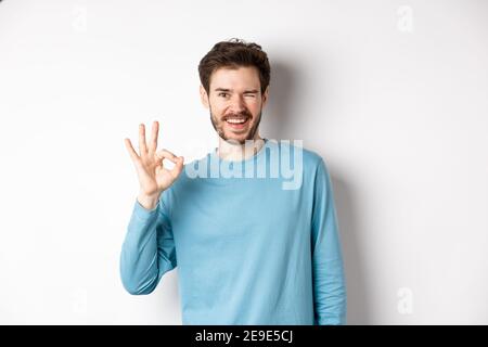 Handsome modern guy feeling confident, showing OK sign and winking at ...