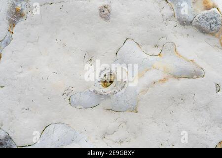 View of chalk and flint deposits below cliffs,Buckton,Yorkshire,UK ...