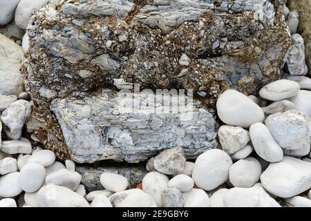 View of chalk and flint deposits below cliffs,Buckton,Yorkshire,UK ...