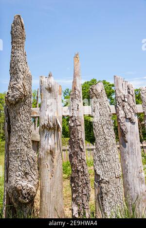Moundville Archaeological Park Alabama,Middle Mississippian Era Native ...