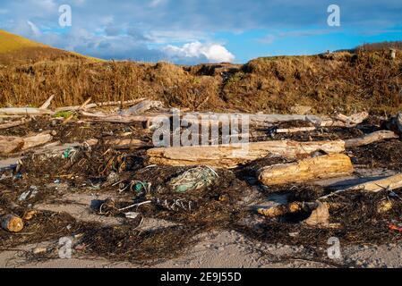 Old trees and garbage washed ashore after the storm. Plastic and wastes ...