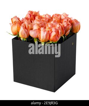 peach rose on a black box Stock Photo - Alamy