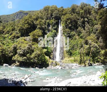 A mesmerizing shot of clear river in the middle of the forest Stock ...