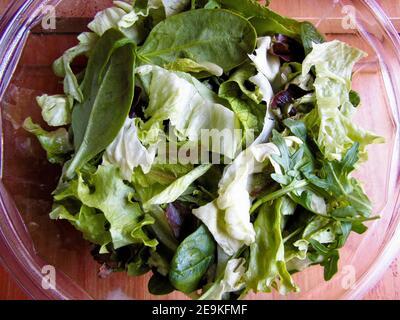 Fresh Roka Arugula and Baby Spinach Salad Stock Photo - Alamy