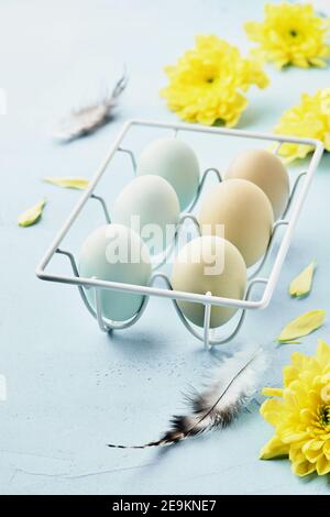 Easter poster background with Easter eggs in nests on light blue ...