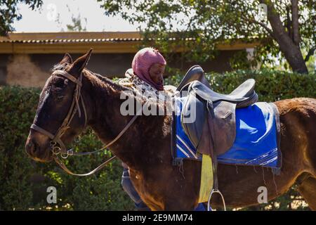Basotho man and his horse, Kingdom of Lesotho, Africa Stock Photo - Alamy