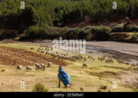 Basotho shepherd near Malealea, Lesotho, Africa Stock Photo - Alamy