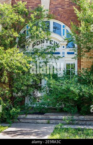 Overgrown plants covering the entrance to the abandoned Ponteix School ...
