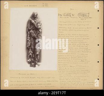 Mummy of Seti I Stock Photo - Alamy
