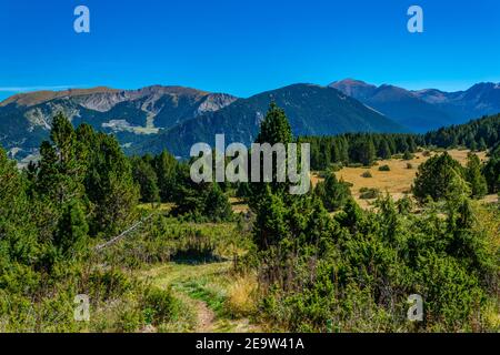 Forests and meadows of Andorra Stock Photo - Alamy