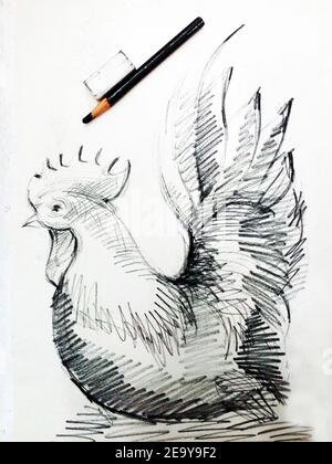 art, drawing ,backgrounds for design , hen , from thailand , bantam ...