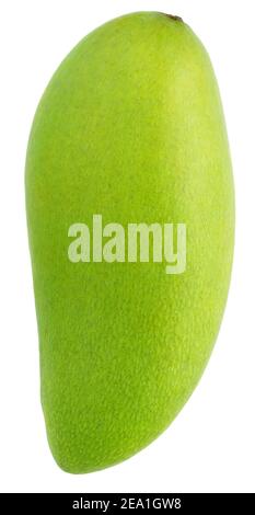 fresh green mango fruit isolated on white background Stock Photo - Alamy