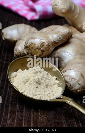 Ginger (Zingiber officinale), ginger bulb and ginger powder in ...