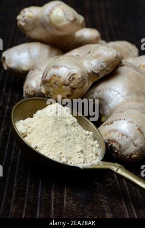Ginger (Zingiber officinale), ginger bulb and ginger powder in ...