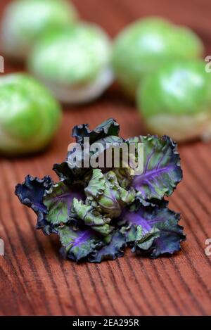 Flower Sprouts, cabbage florets, flower sprouts, cross between Brussels ...