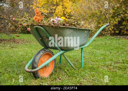 Wheel Barrow Filled with Turf Stock Photo - Alamy
