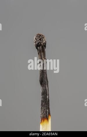 Burnt out wood matchstick. Single matchstick with no flame or fire ...