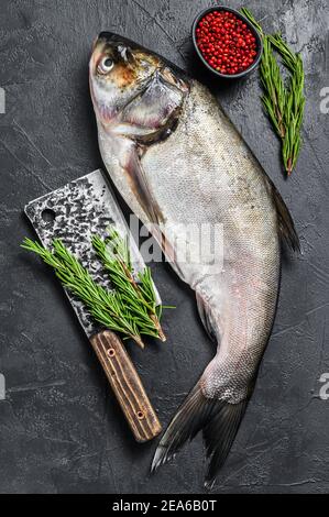 Raw whole fish silver carp. Gray background. Top view Stock Photo - Alamy