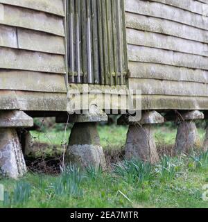 Staddle stone (staddlestone) supporting a wooden granary building ...
