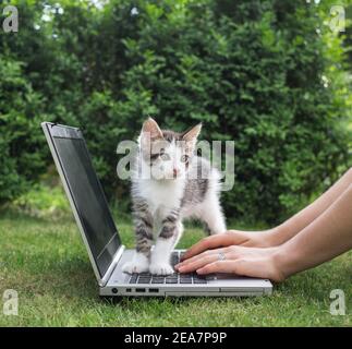 A young female student stands with a digital tablet in her hands ...