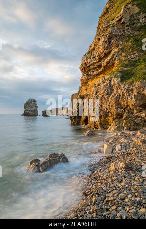 The magnesian limestone cliffs of Marsden Bay, lit by early morning ...