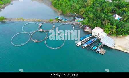 Aerial view of fish ponds for bangus, milkfish. Fish farm, top view ...