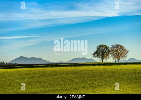 A silhouette of the grass against a clouded sky at sunset Stock Photo ...