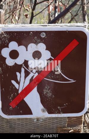 Don't pick wildflowers sign at Laguna Coast Wilderness Park, Orange ...