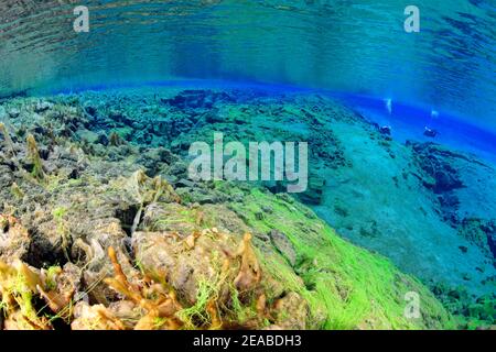 Snorkeling the Silfra Fissure in Thingvellir National Park in Iceland ...