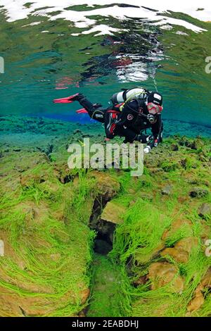 Silfra, Silfra - the freshwater fissure between the continents, Silfra ...