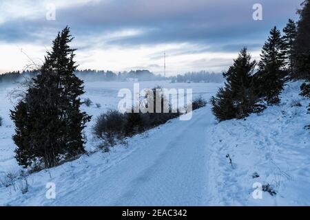 Winter, winter world, snow, juniper heather, sunrise, Swabian Alb ...