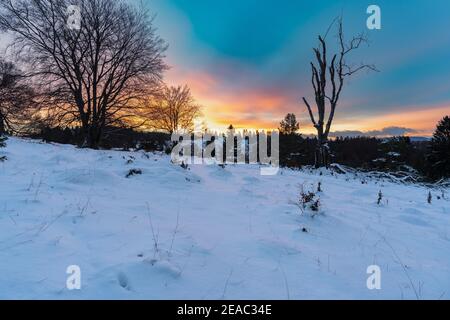 Winter, winter world, snow, juniper heather, sunrise, Swabian Alb ...