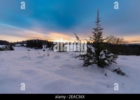Winter, winter world, snow, juniper heather, sunrise, Swabian Alb ...