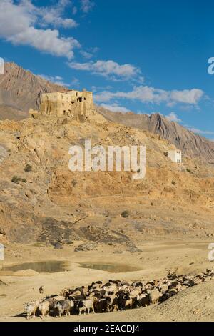 Zangla, with the Karsha Khar fortress Stock Photo - Alamy