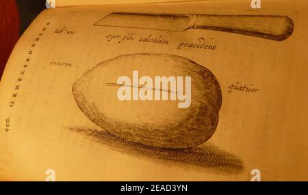 Niersteen en mes 1740 Jan Lethaus Stock Photo - Alamy