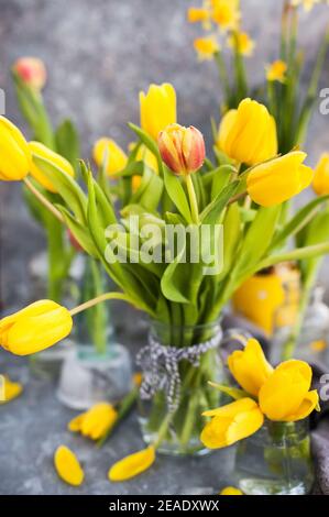 Bright yellow tulips on gray concrete background. Top view, flat lay ...
