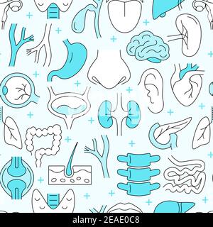 Human organs outline pattern. Internal organs anatomy. Vector ...
