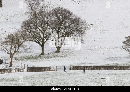 Howardian Hills, North Yorkshire. 09th Feb, 2021. UK Weather: Snow ...