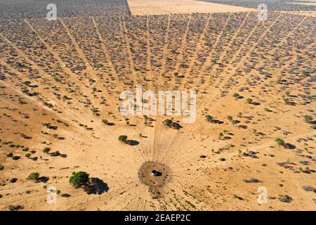 Aerial view of a wagon wheel grazing system Stock Photo - Alamy
