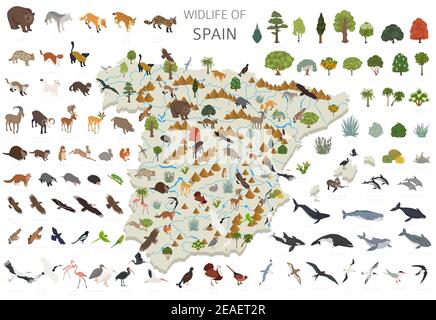 Isometric 3d design of Spain wildlife. Animals, birds and plants ...