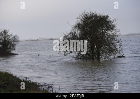 Nene Washes, Cambridgeshire Stock Photo - Alamy