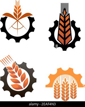 wheat grain cereal plant icons set vector. barley bread, ear rye, food ...
