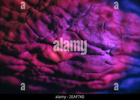 Close-up beautiful walnut shell extreme in red light. Background ...