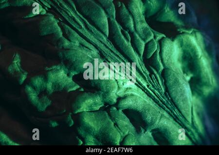 Close-up beautiful walnut shell extreme in multicolor light. Background ...