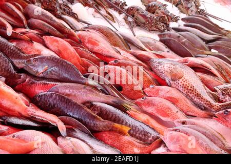 Guadeloupe fish market in Pointe a Pitre, biggest city of Guadeloupe ...