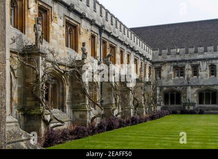 Magdalen College stone crenellated building. Famous for ornate animal ...