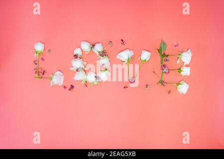"LOVE" word formed by roses on pink background Stock Photo - Alamy